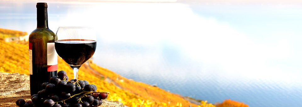 HyperionAssociates | The specialist recruiter for the wine, drinks ...